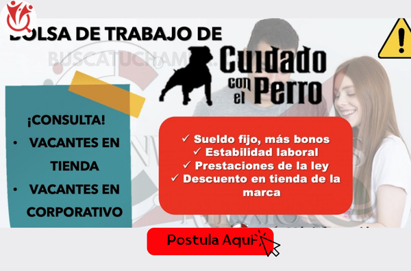 Trabaja en Tienda Cuidado con el Perro – ¡Aplica Aquí!